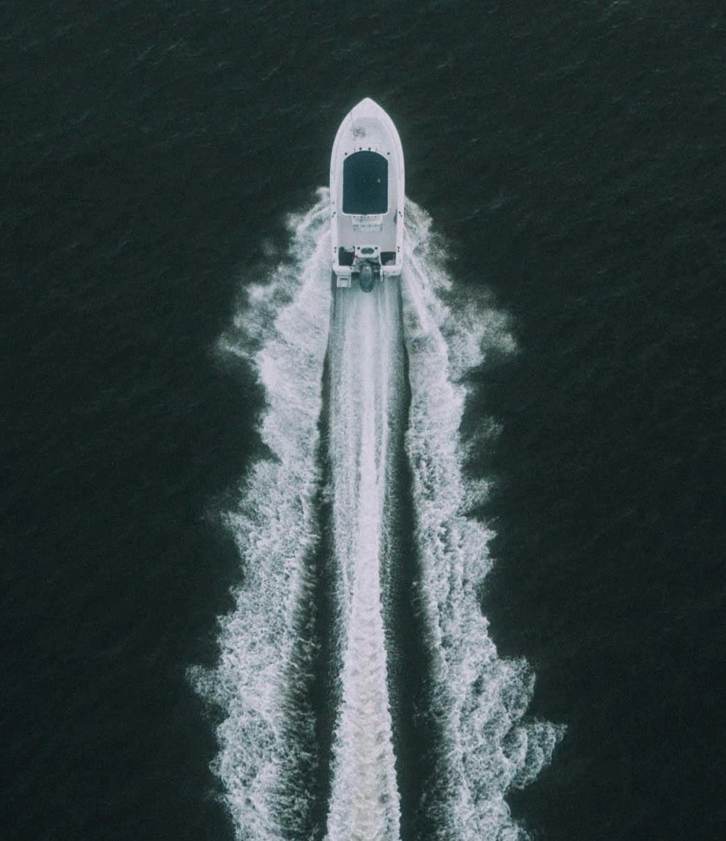 Seabird Survey Simulator | info